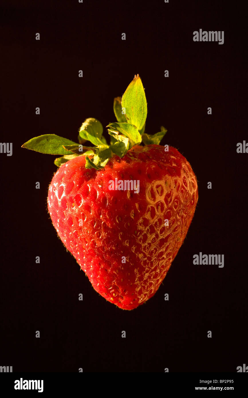 Strawberry stem hi-res stock photography and images - Alamy