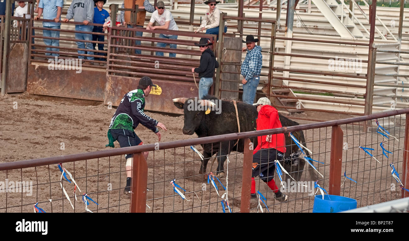 Rodeo clowns getting bull attention hi-res stock photography and images ...