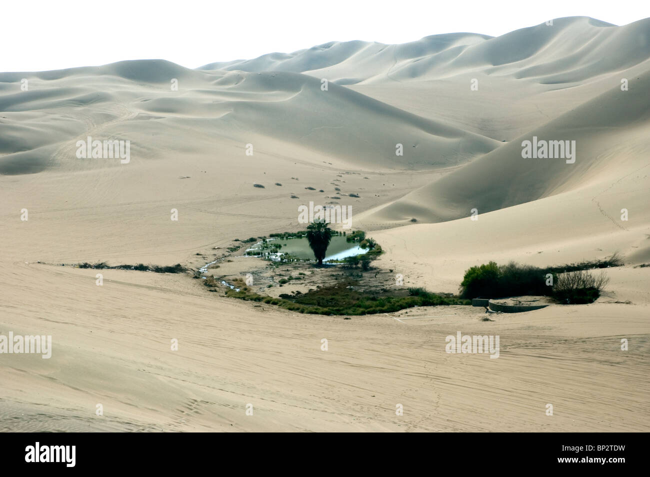 A picturesque small oasis and palm tree near the Huacachina Oasis, Ica ...