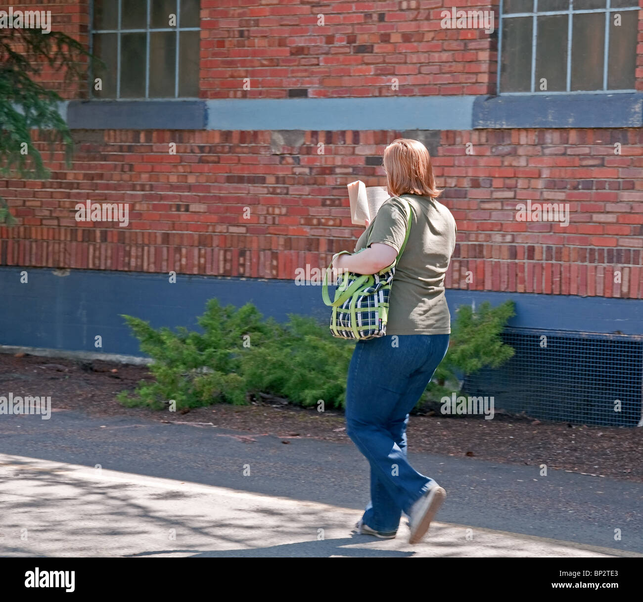 Avid reader hi-res stock photography and images - Alamy