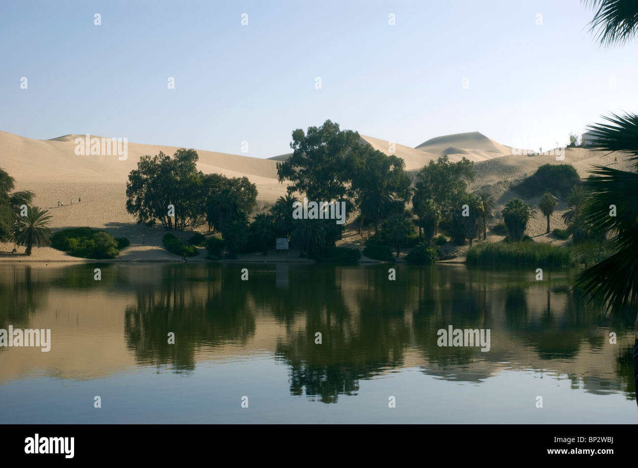 The picturesque lagoon and palm trees of Huacachina Oasis, Ica, Peru ...