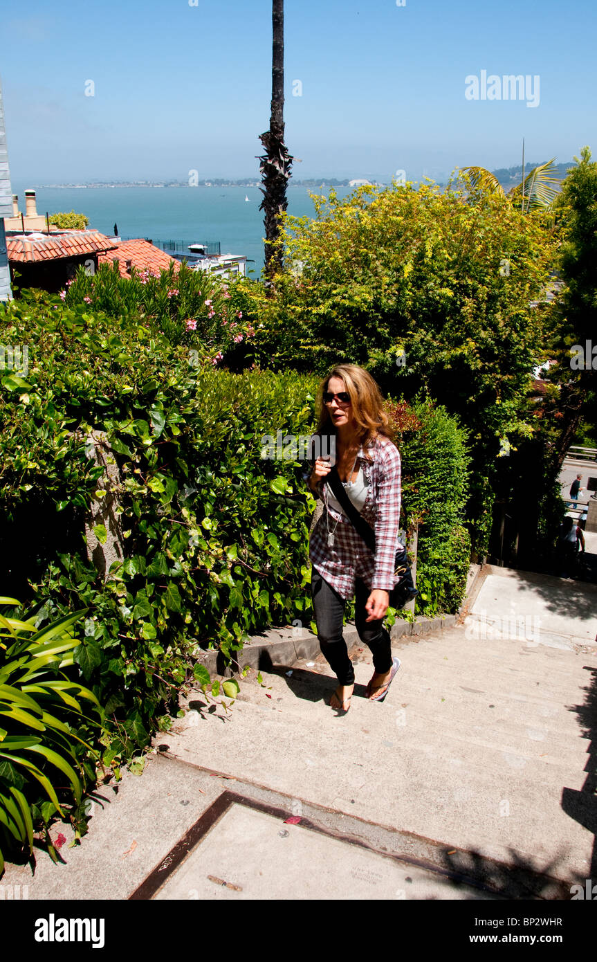 Filbert street san francisco hi-res stock photography and images - Alamy