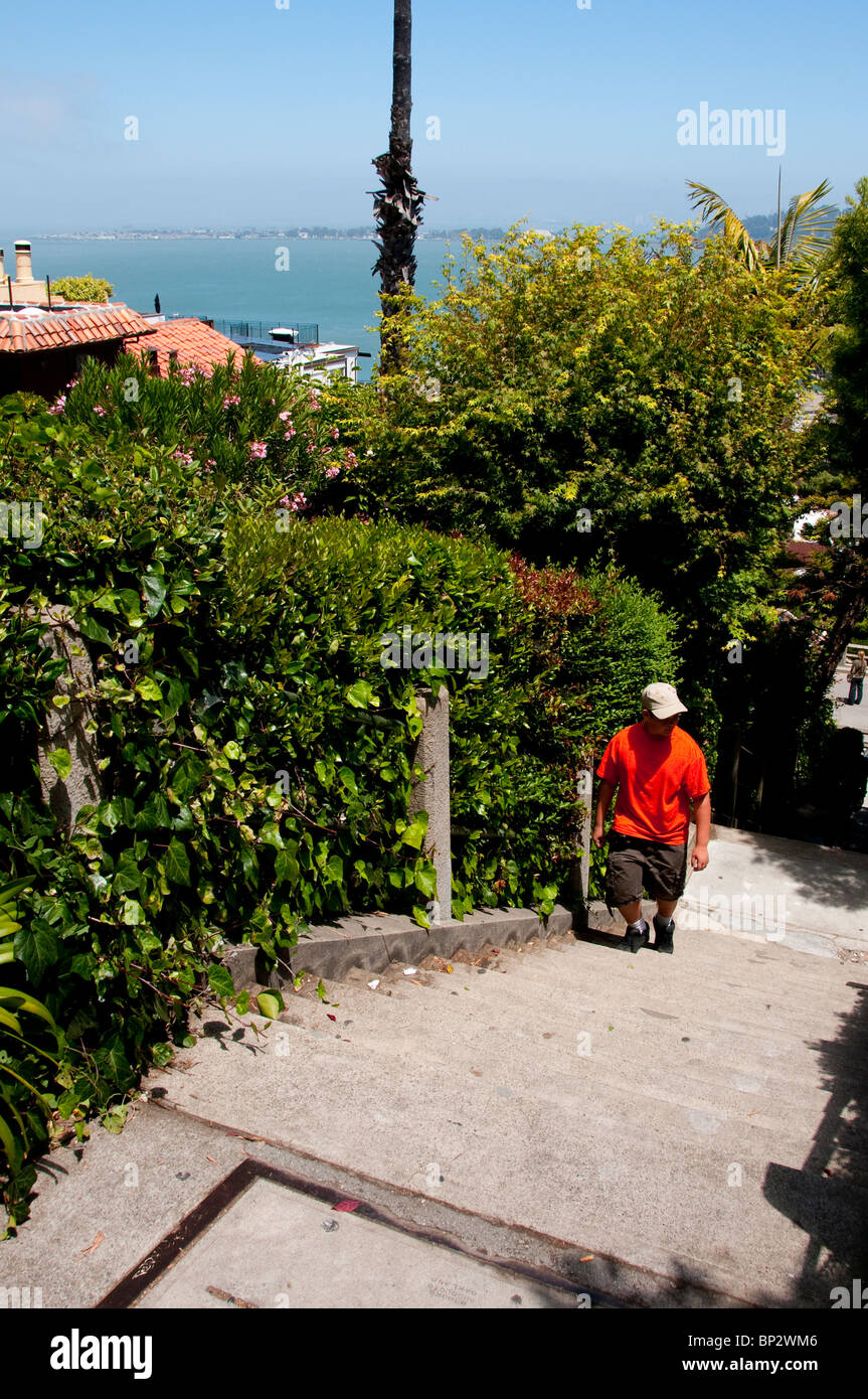 Filbert street san francisco hi-res stock photography and images - Alamy