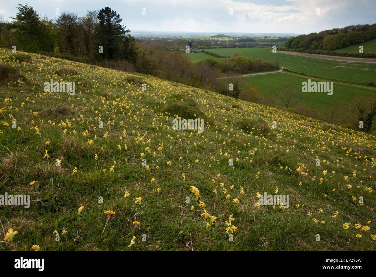 Fontmell High Resolution Stock Photography and Images - Alamy