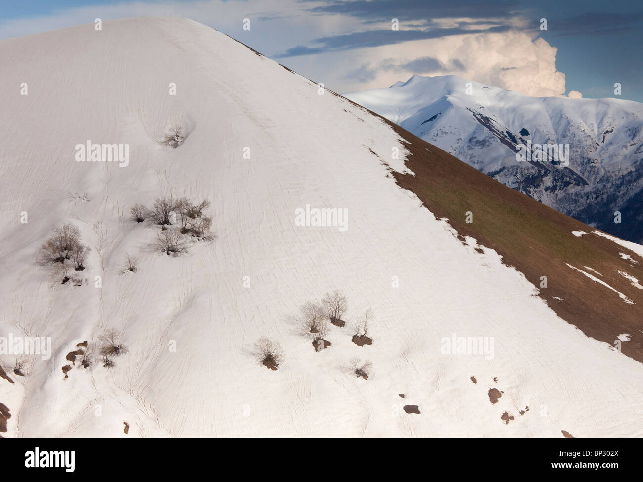Birches in the snow hi-res stock photography and images - Alamy