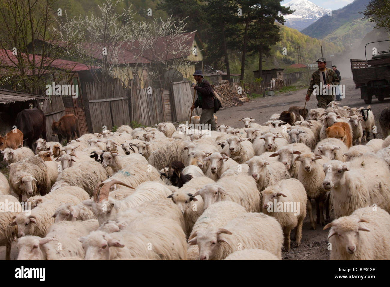 Shepherds pass hi-res stock photography and images - Alamy