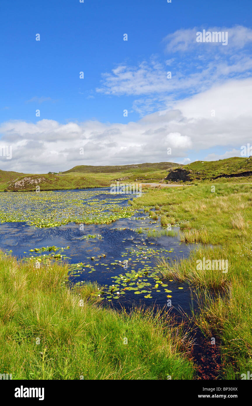 Small loch hi-res stock photography and images - Alamy