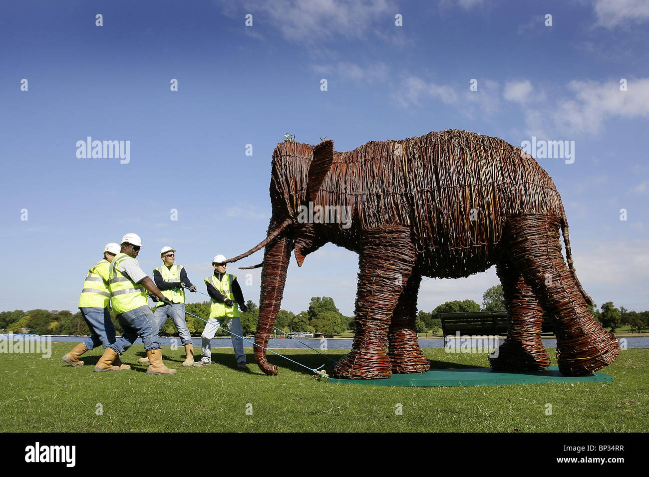 Workmen pull a Life size willow Elephant into position in Hyde Park ...