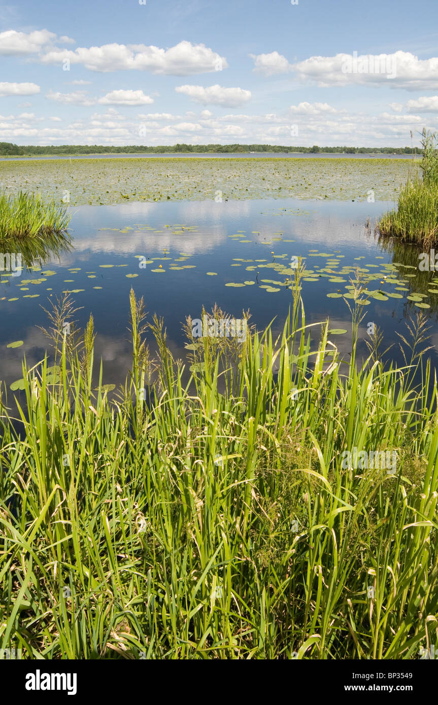lake lakes sweden swedish fresh water clean environment environmental ...