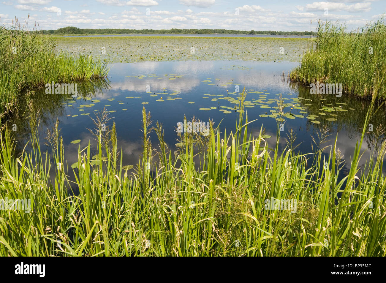 lake lakes sweden swedish fresh water clean environment environmental ...