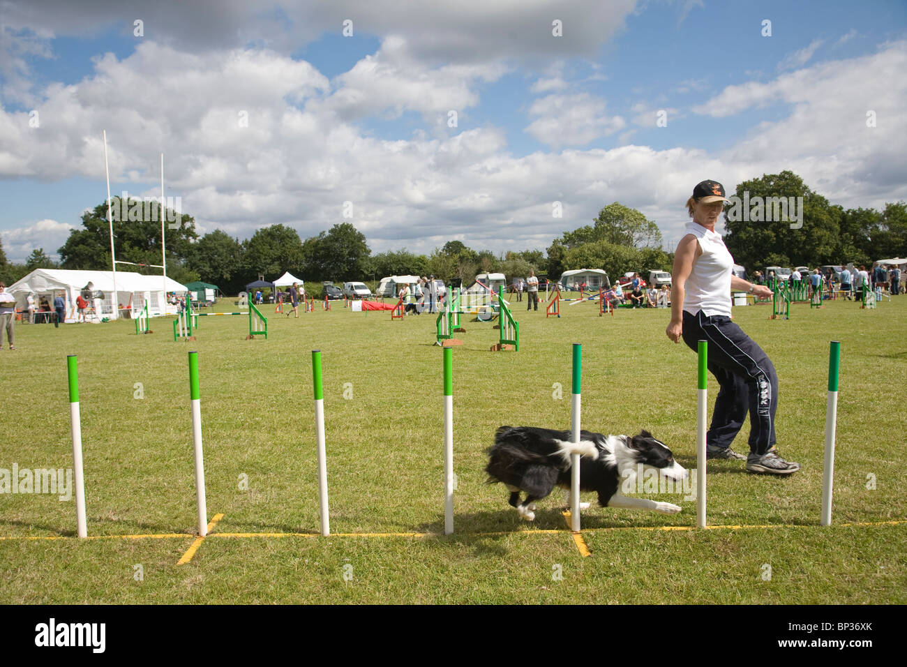 Dog trainer dog trainers hi-res stock photography and images - Alamy