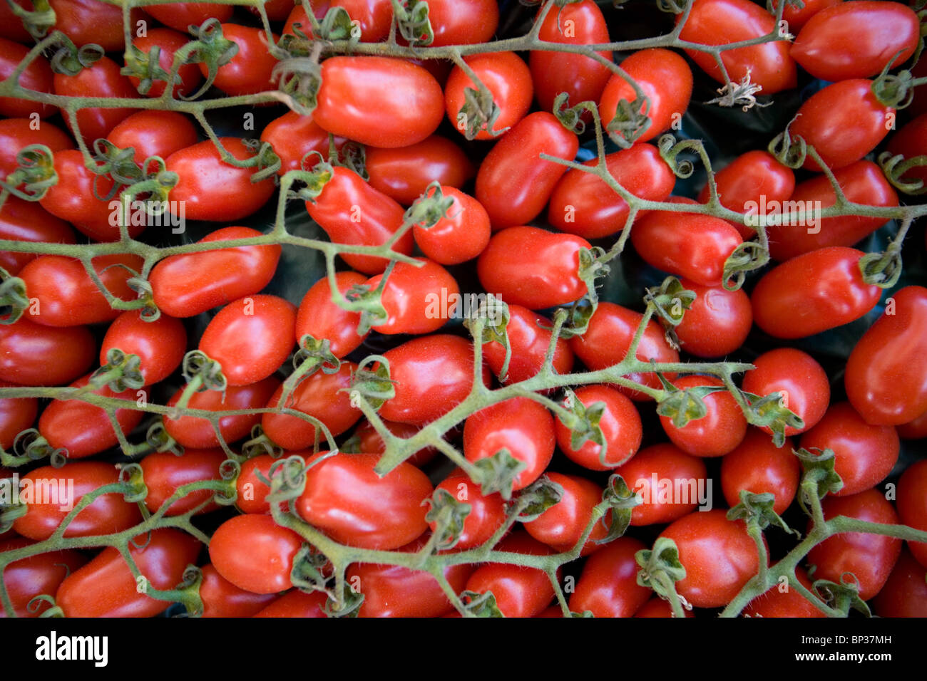 Tomato pip hi-res stock photography and images - Alamy