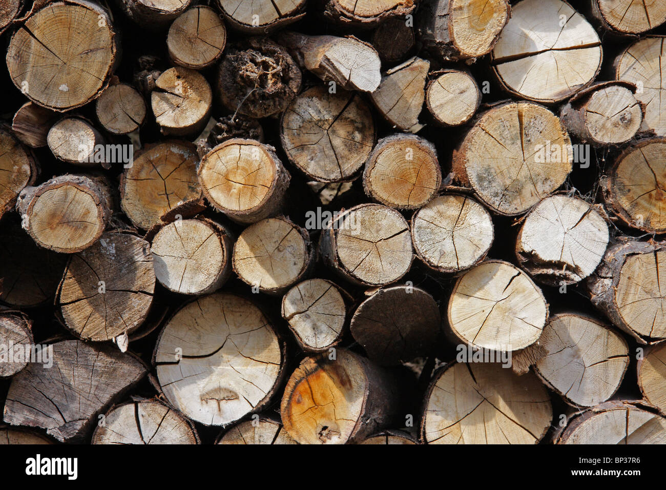 Wood stacks closeup Stock Photo - Alamy