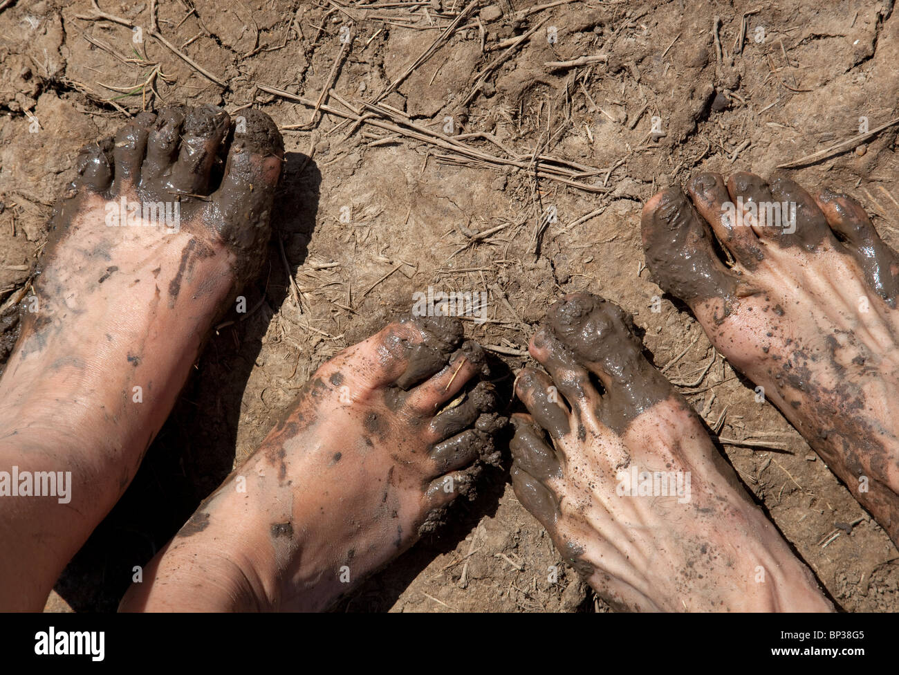 Muddy feet, Norfolk, England Stock Photo - Alamy