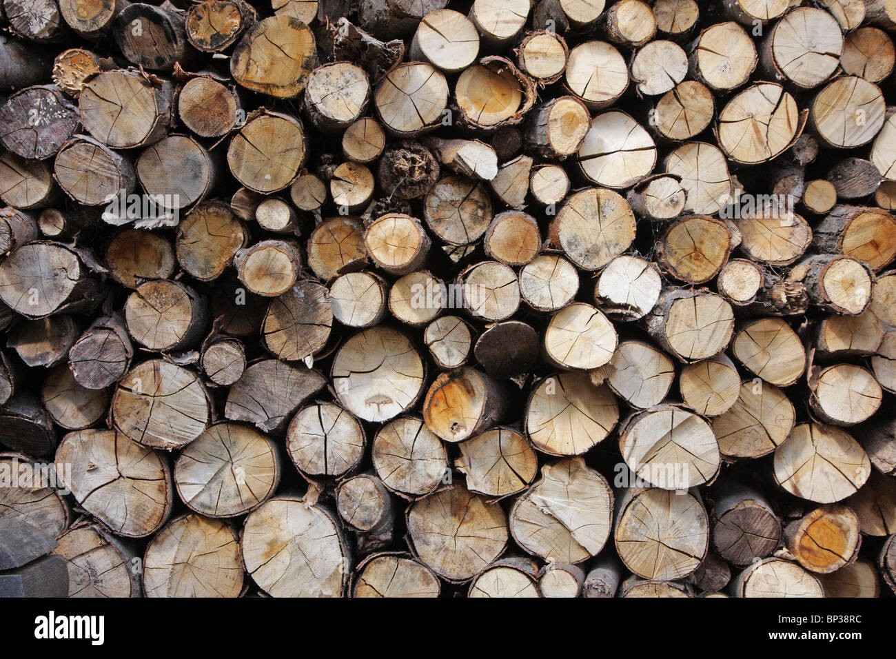 Wood stacks closeup Stock Photo - Alamy