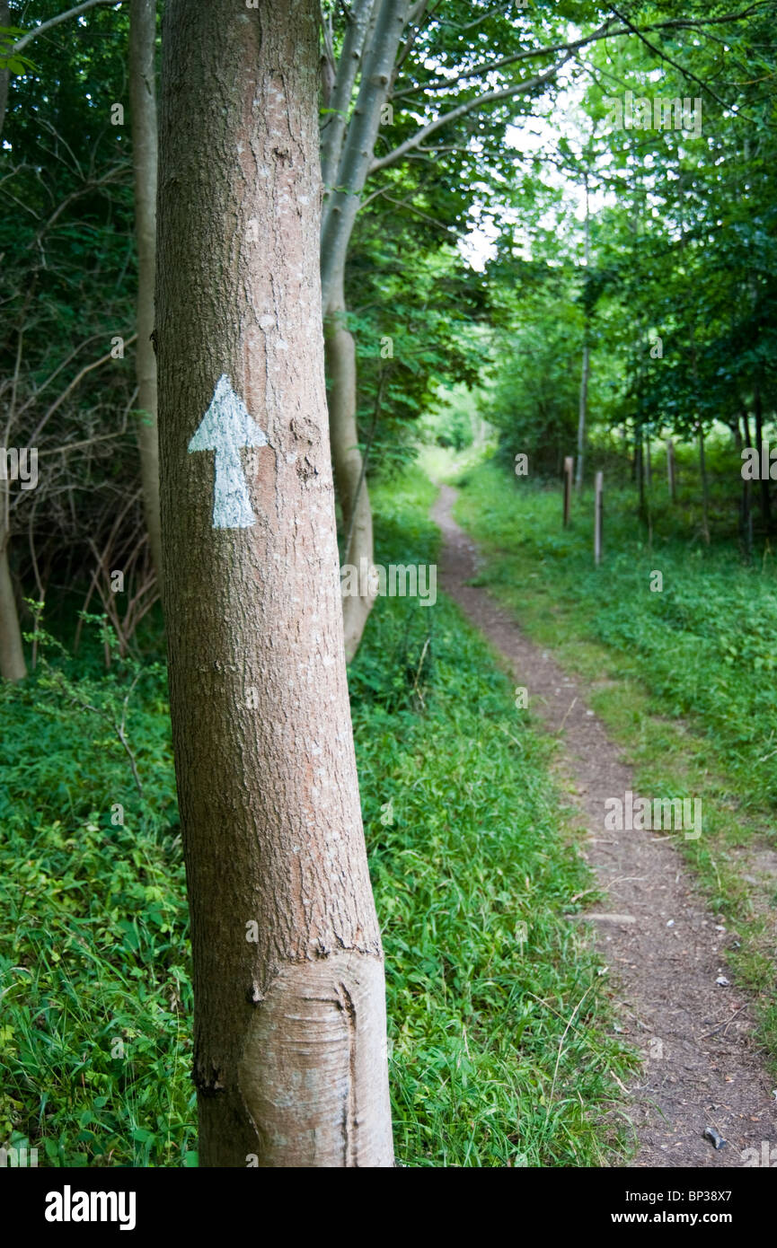 Arrow marking path in the woods in Oxfordshire England Stock Photo - Alamy