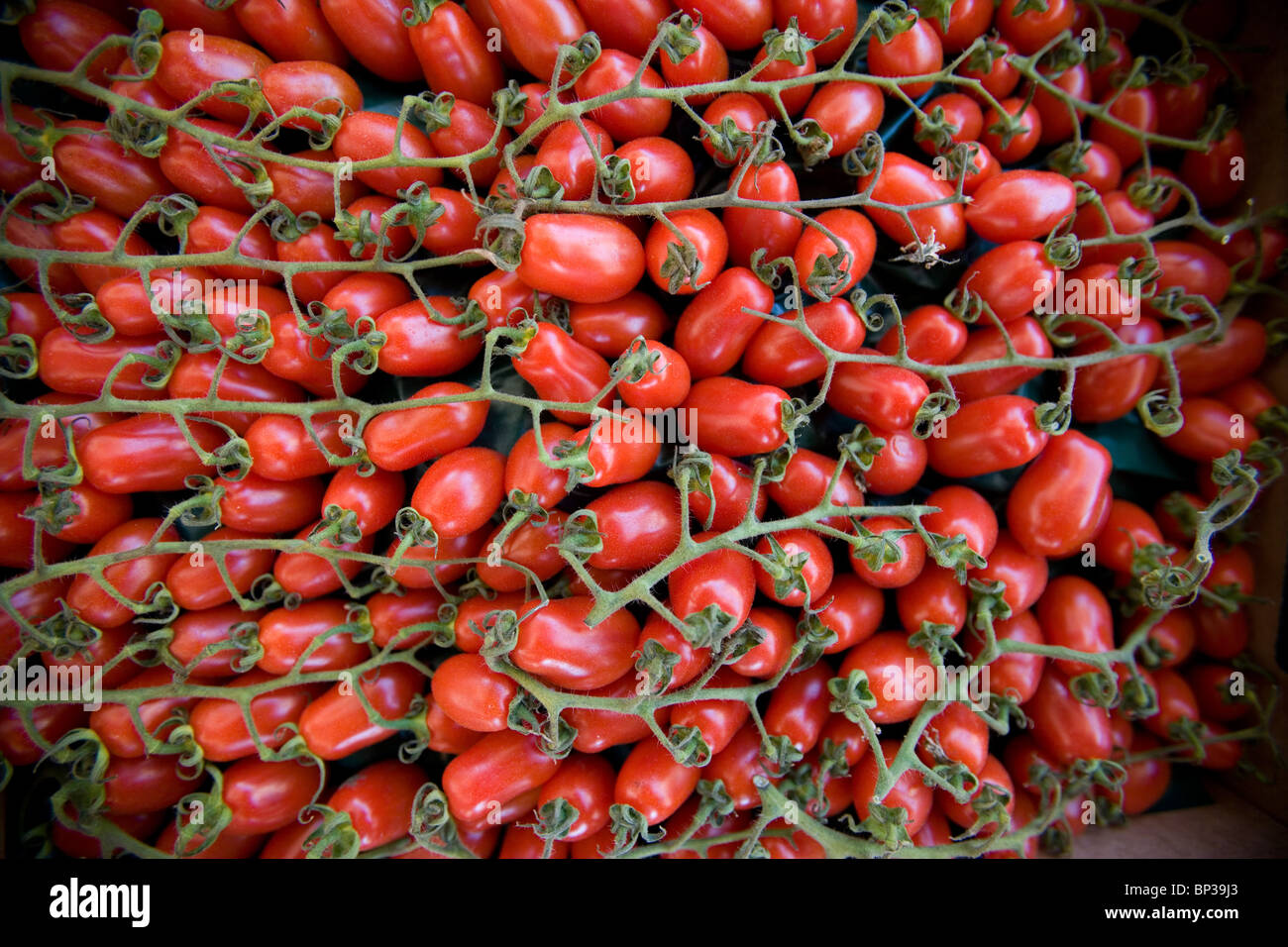 Tomato pip hi-res stock photography and images - Alamy