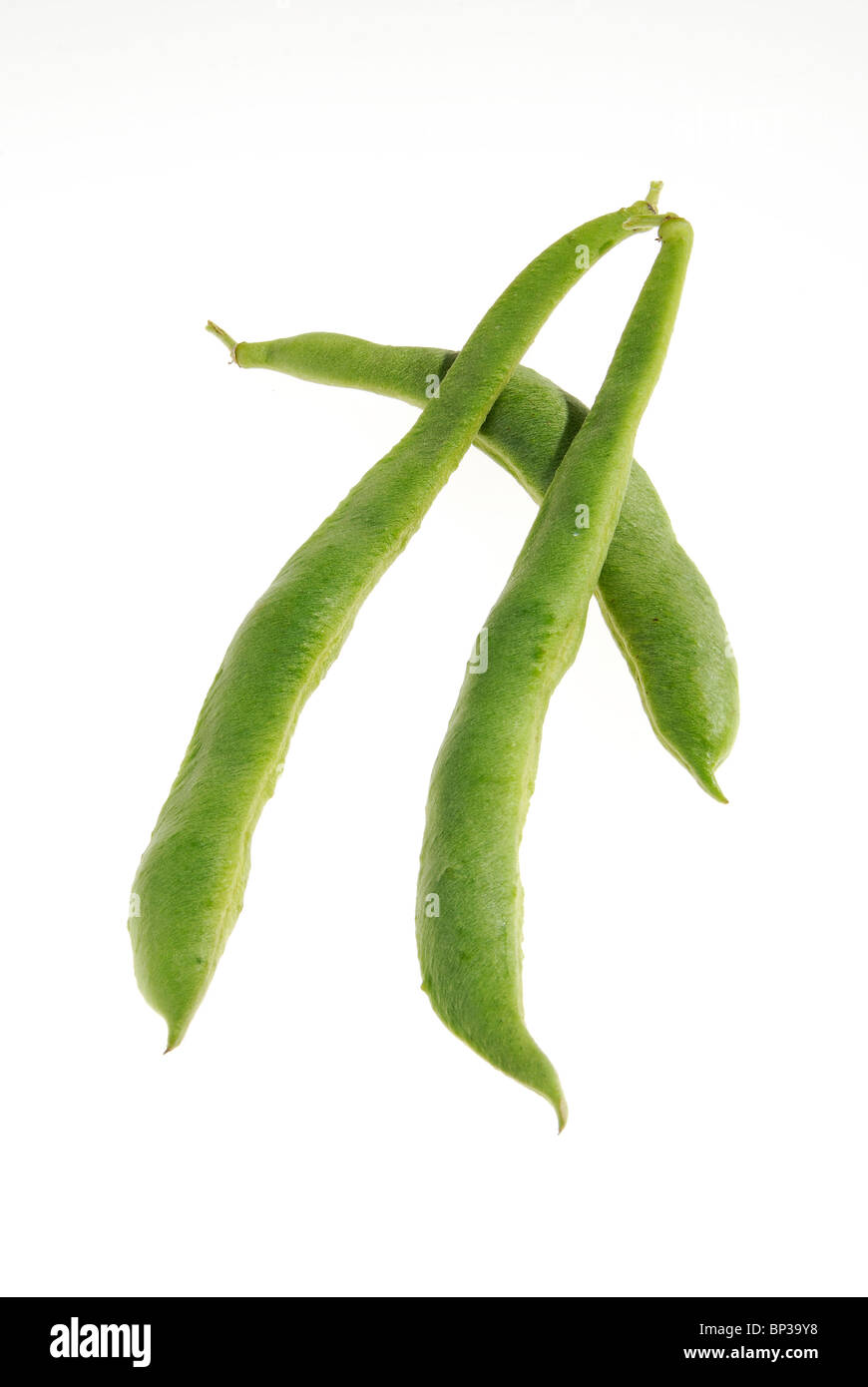 Seed dried pod husk hi-res stock photography and images - Alamy