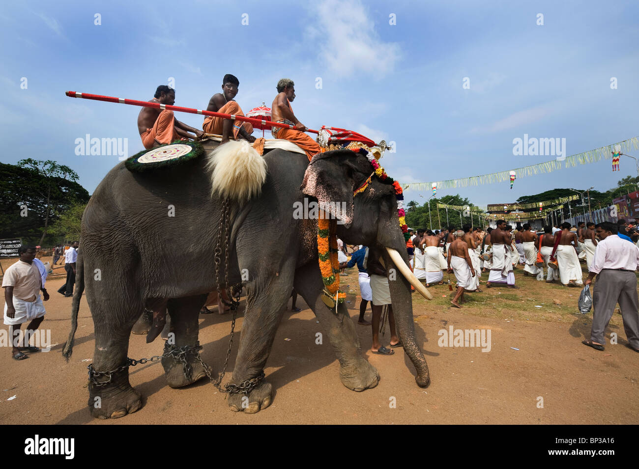 India Kerala Thrissur harnessed elephants during the Pooram Elephant ...