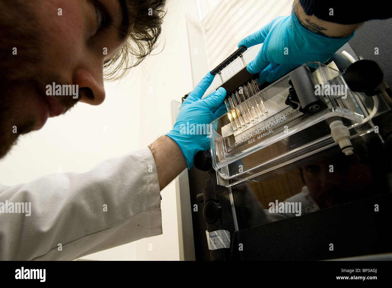 Lab technician in research laboratory Stock Photo - Alamy