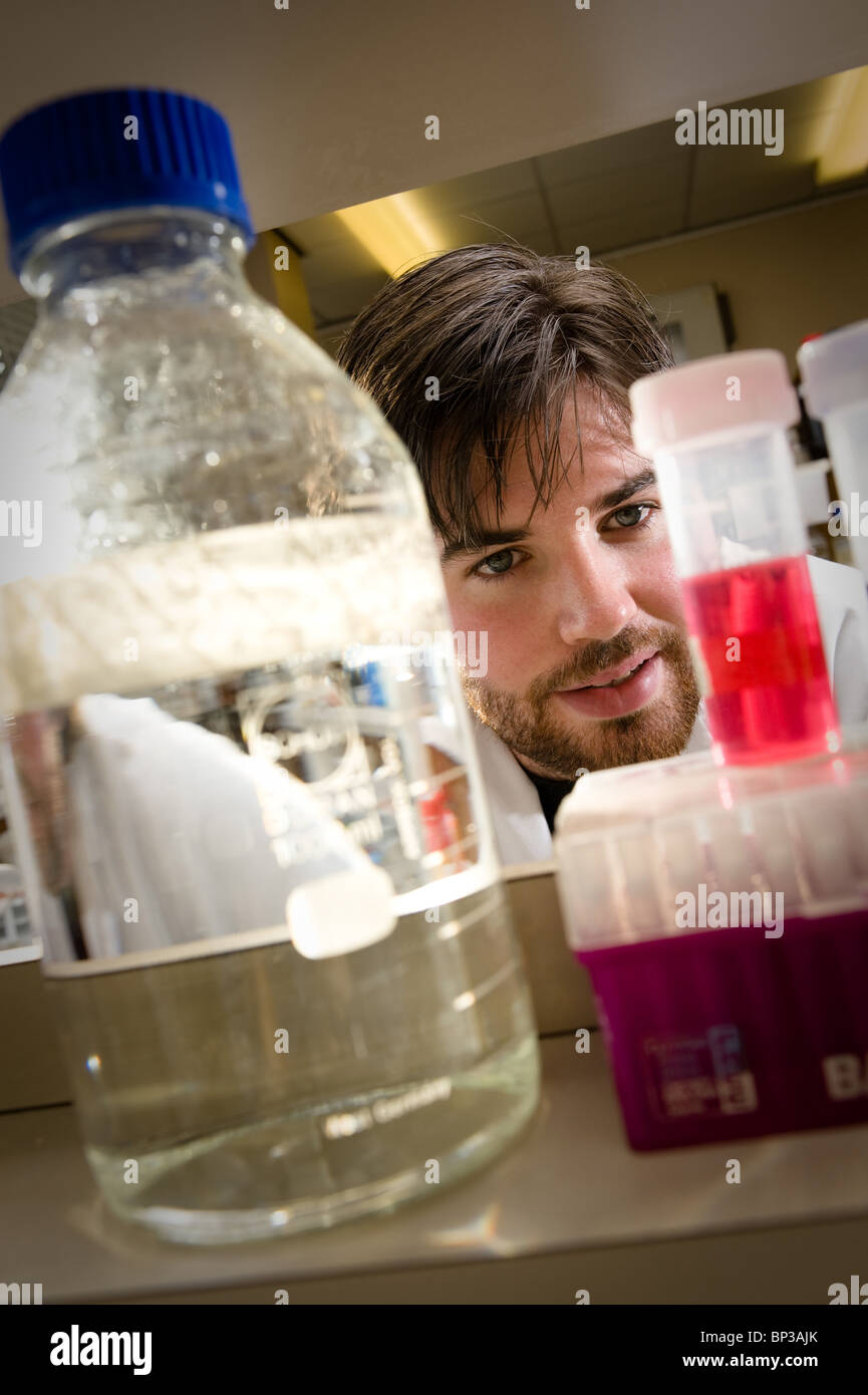 Lab technician in research laboratory Stock Photo - Alamy