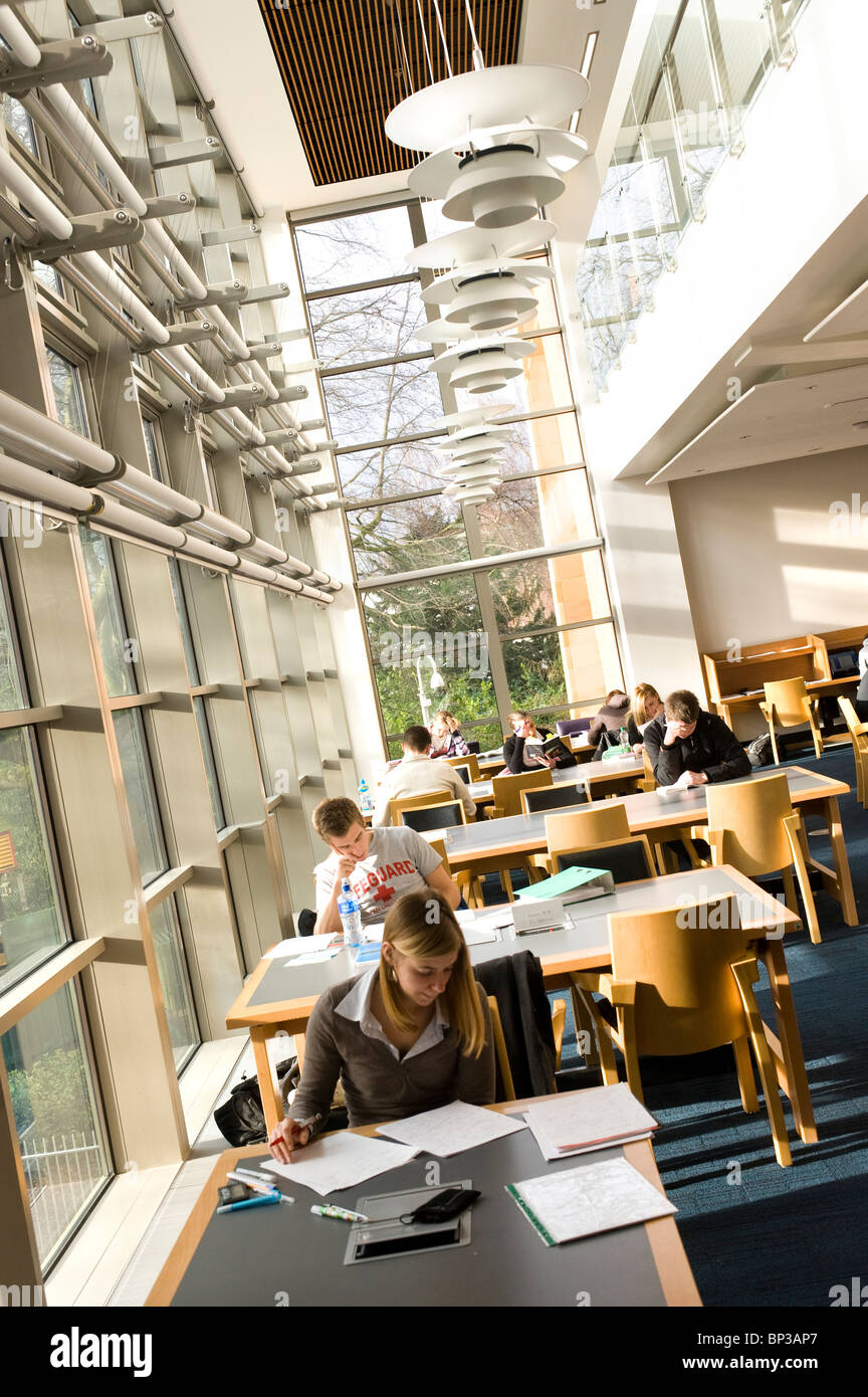 Students studying in a University library Stock Photo - Alamy