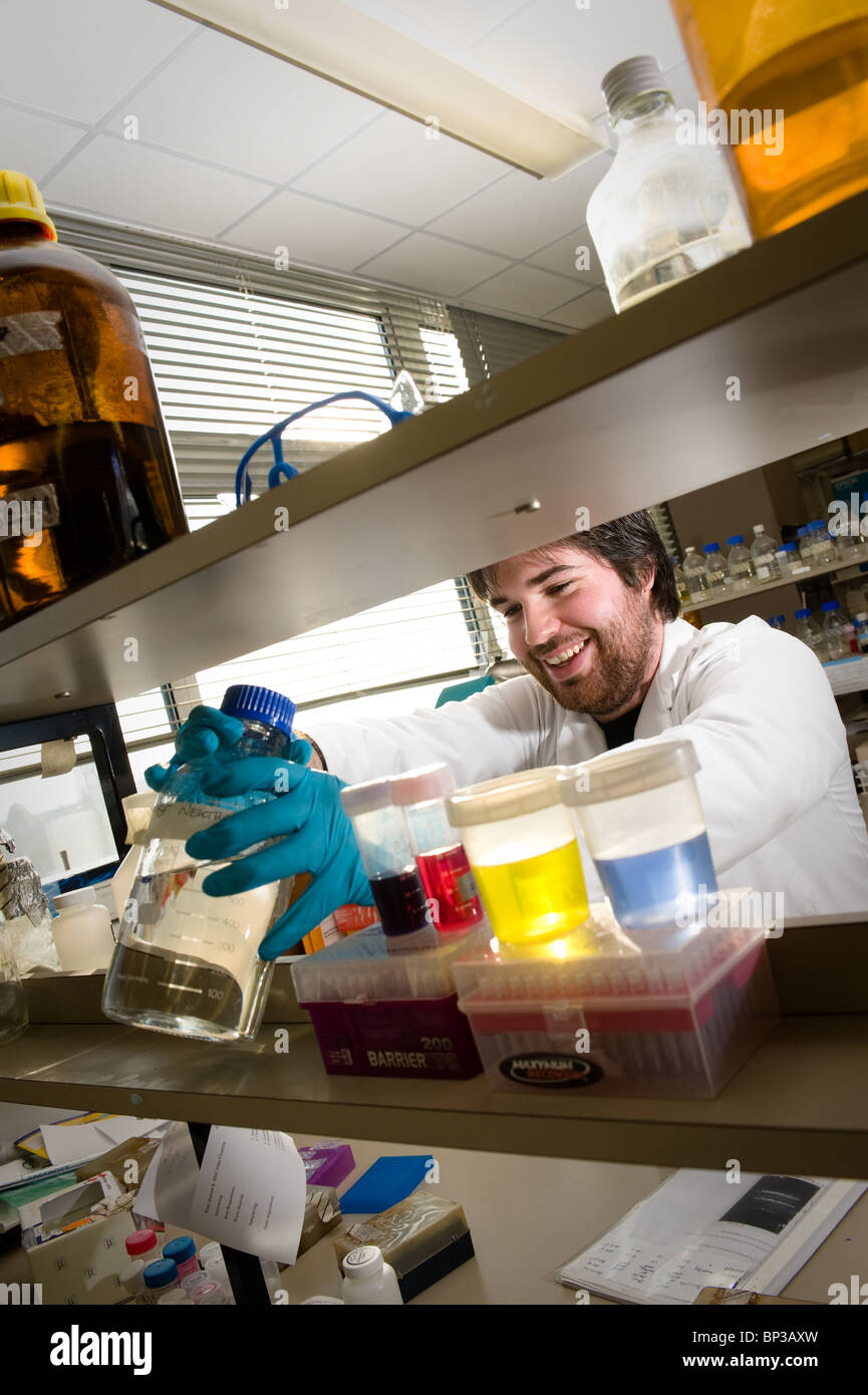 Lab technician in research laboratory Stock Photo - Alamy