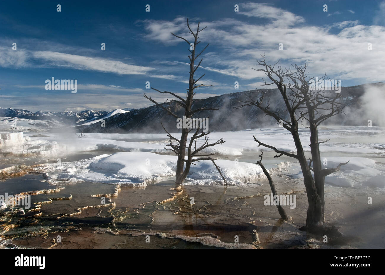 Spring yellowstone hi-res stock photography and images - Alamy