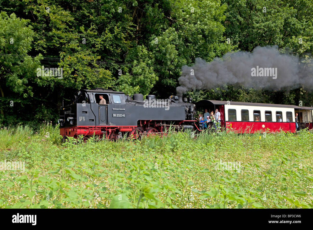 Mecklenburg spa railway molli hi-res stock photography and images - Alamy