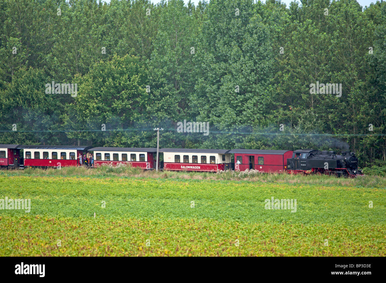steam train "Molli" near the Baltic Resort Heiligendamm, Mecklenburg ...