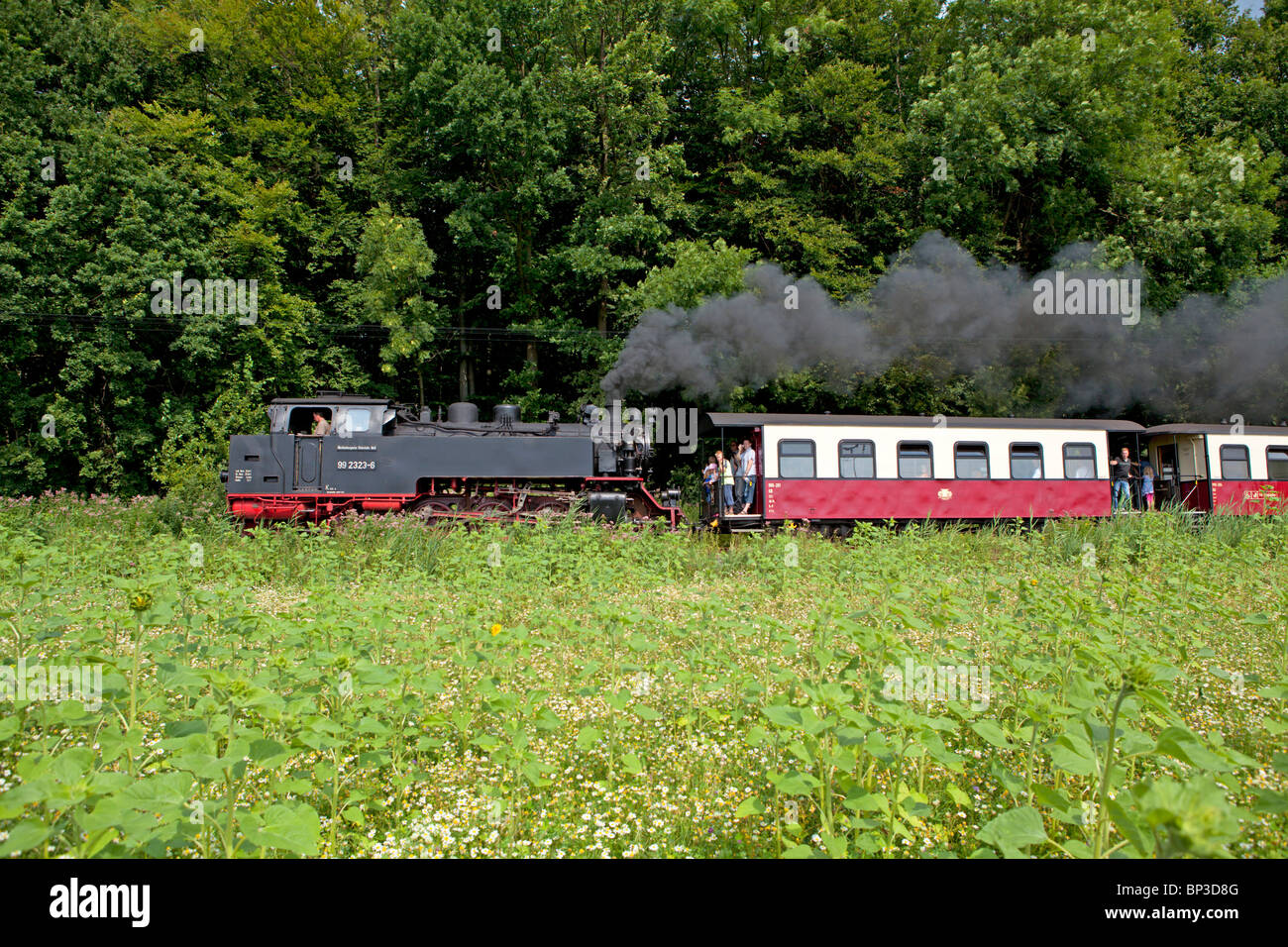 Mecklenburg spa railway molli hi-res stock photography and images - Alamy
