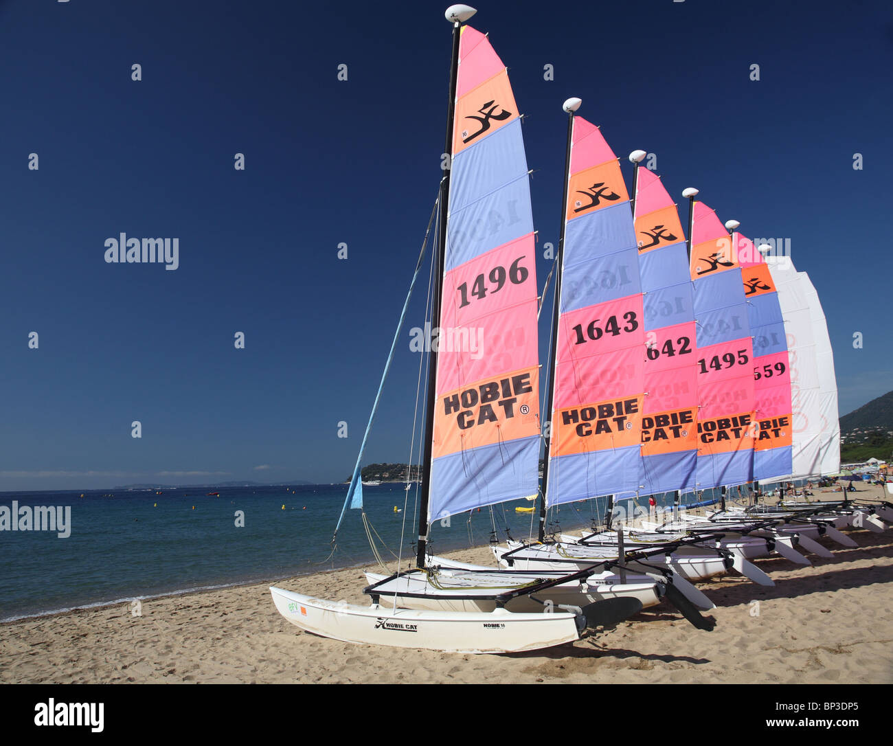 Cat boats hi-res stock photography and images - Alamy