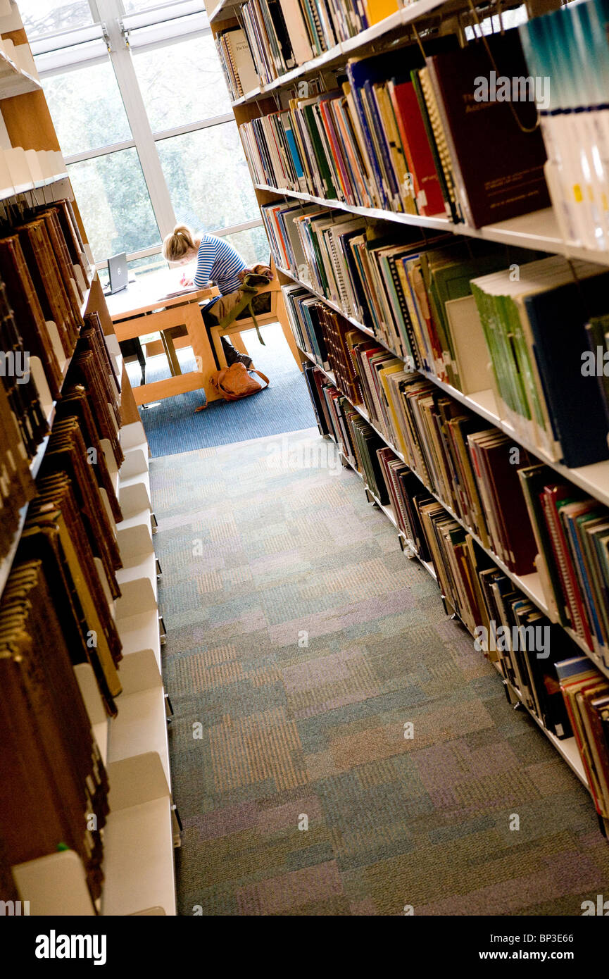 Students studying in a University library Stock Photo - Alamy