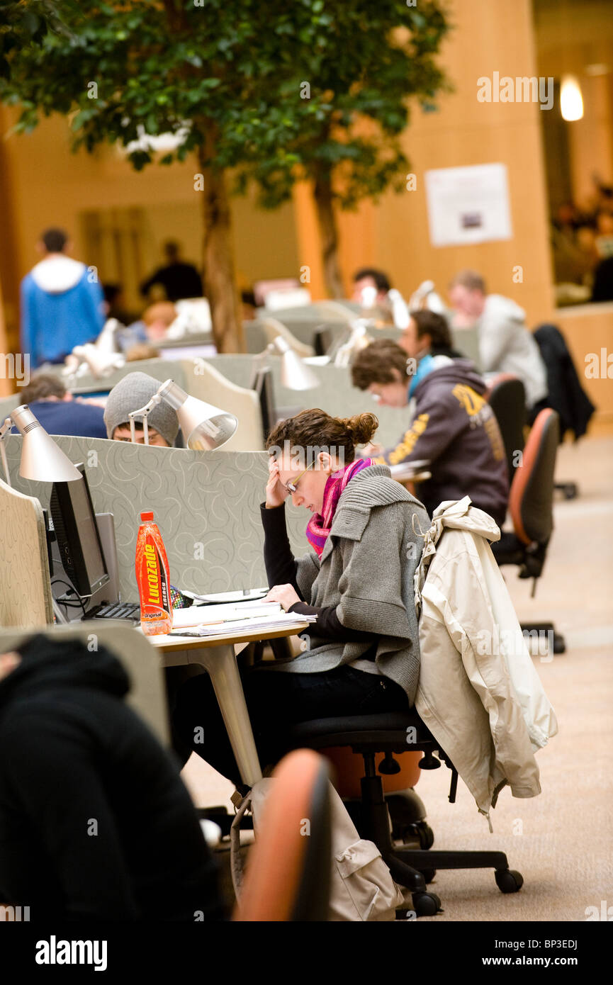 Students studying in a University library Stock Photo - Alamy