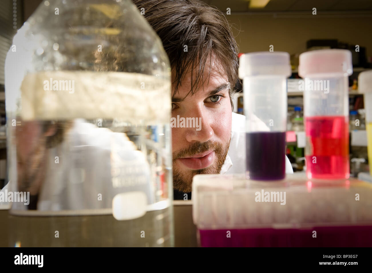 Lab technician in research laboratory Stock Photo - Alamy