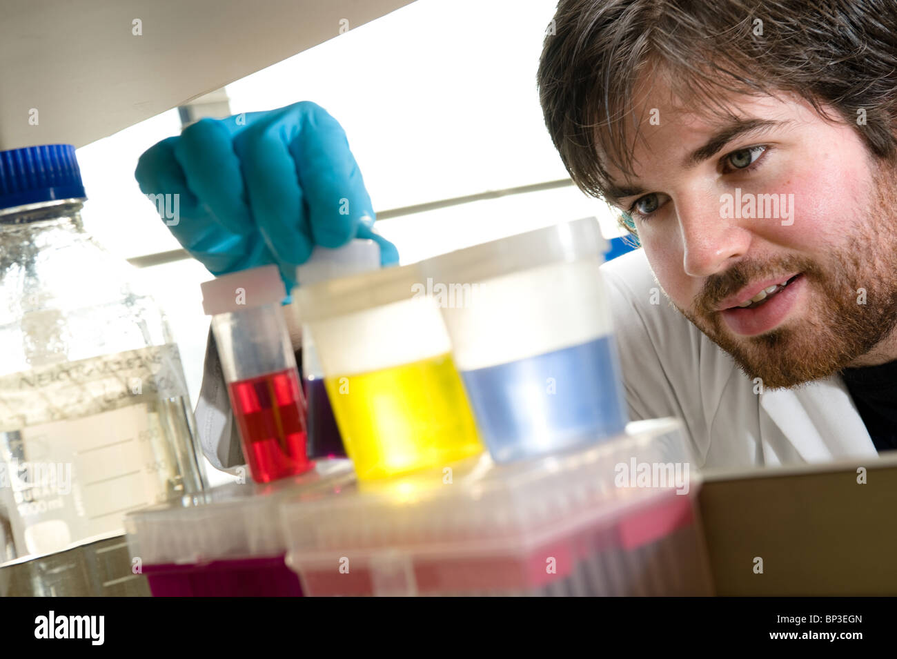 Lab technician in research laboratory Stock Photo - Alamy