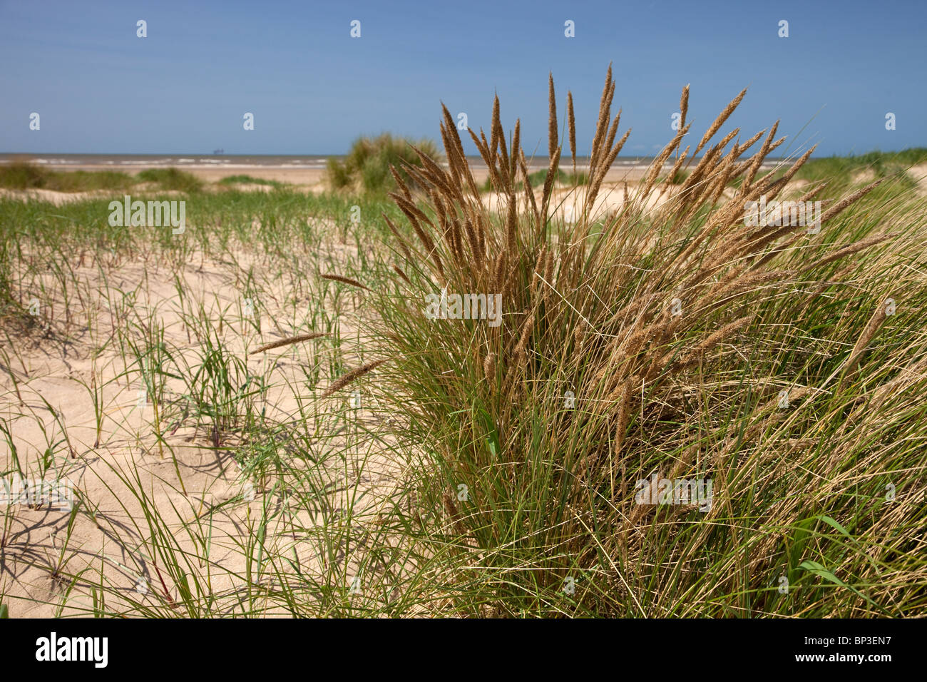 Coastal accretion hi-res stock photography and images - Alamy