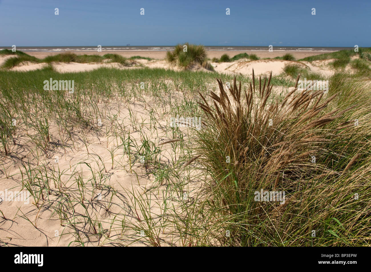 Coastal accretion hi-res stock photography and images - Alamy