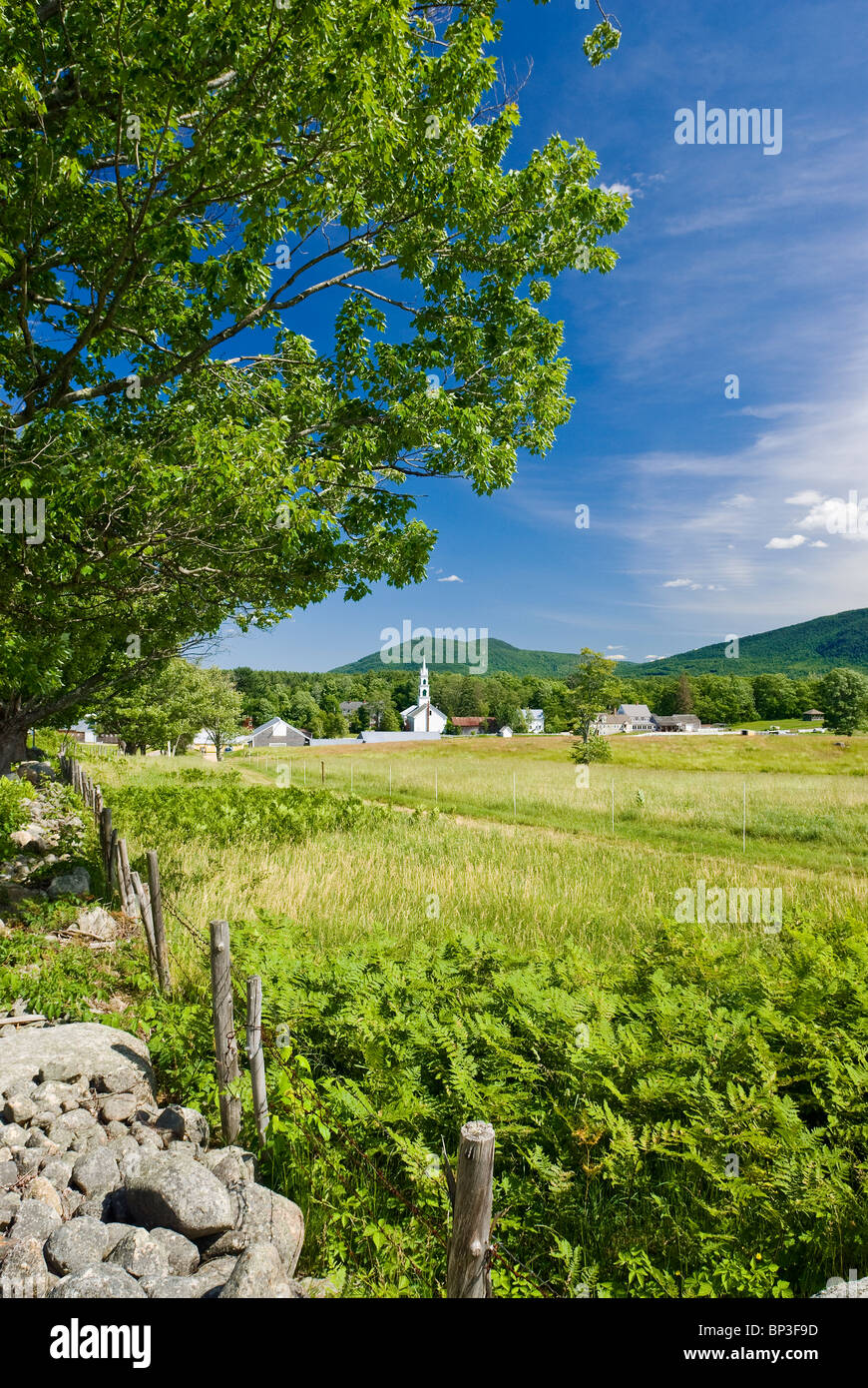 Patrick batchelder Stock Photos & Images from Alamy