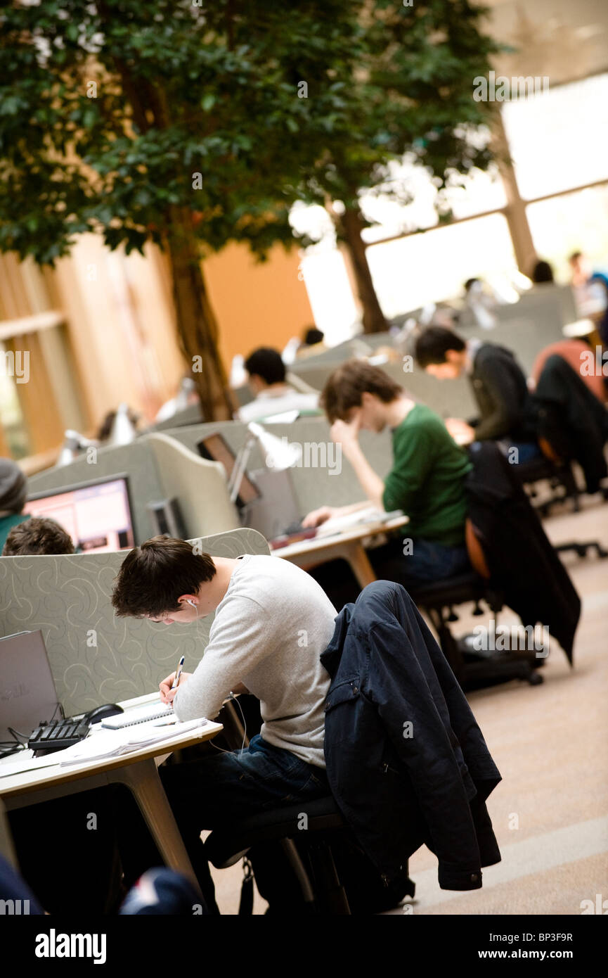 Students studying in a University library Stock Photo - Alamy