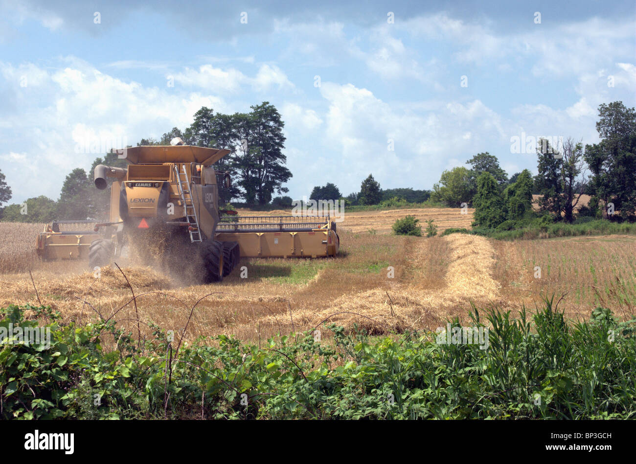 Farmer mows hay with Thresher Harvester in field Stock Photo - Alamy