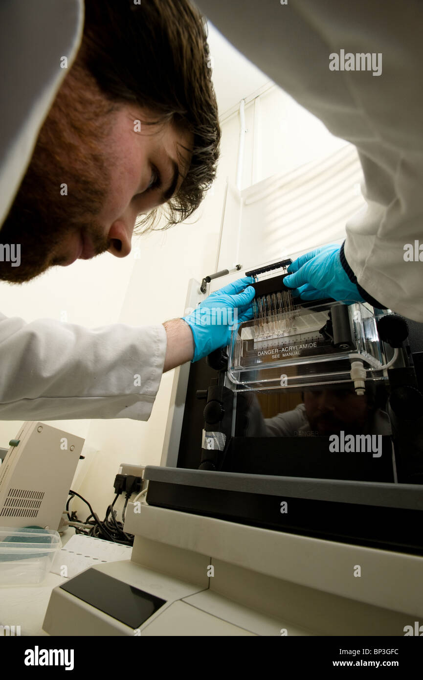 Lab technician in research laboratory Stock Photo - Alamy