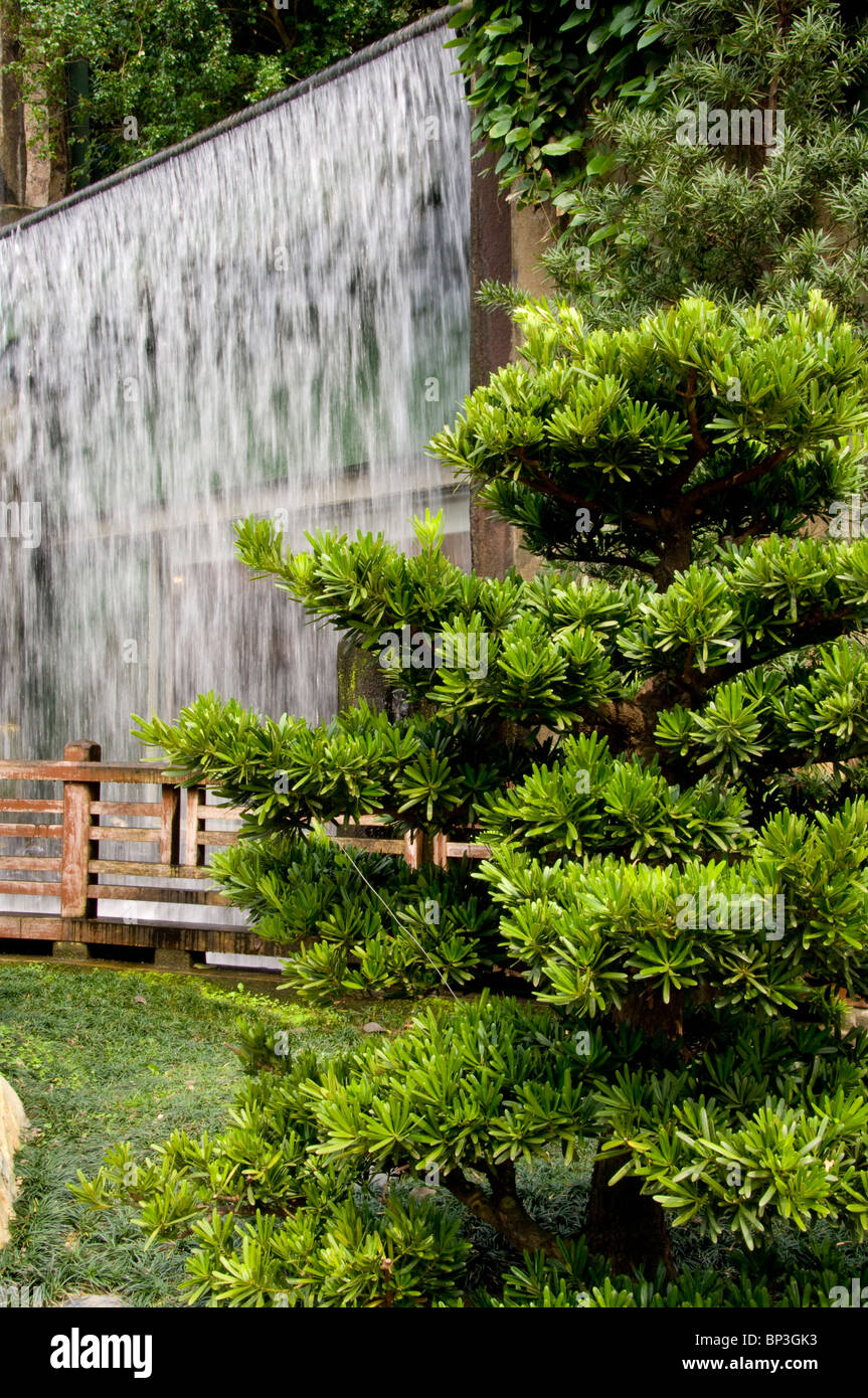 China, Hong Kong, New Territoris. Nan Lian Garden. Silver Strand ...