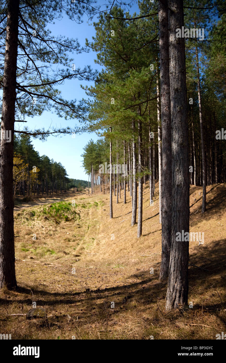 Sefton coast sssi hi-res stock photography and images - Alamy