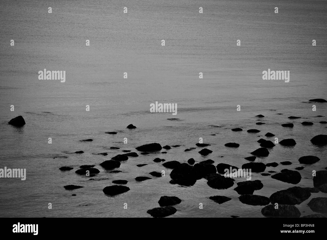 Rocky shore ecosystem Black and White Stock Photos & Images - Alamy