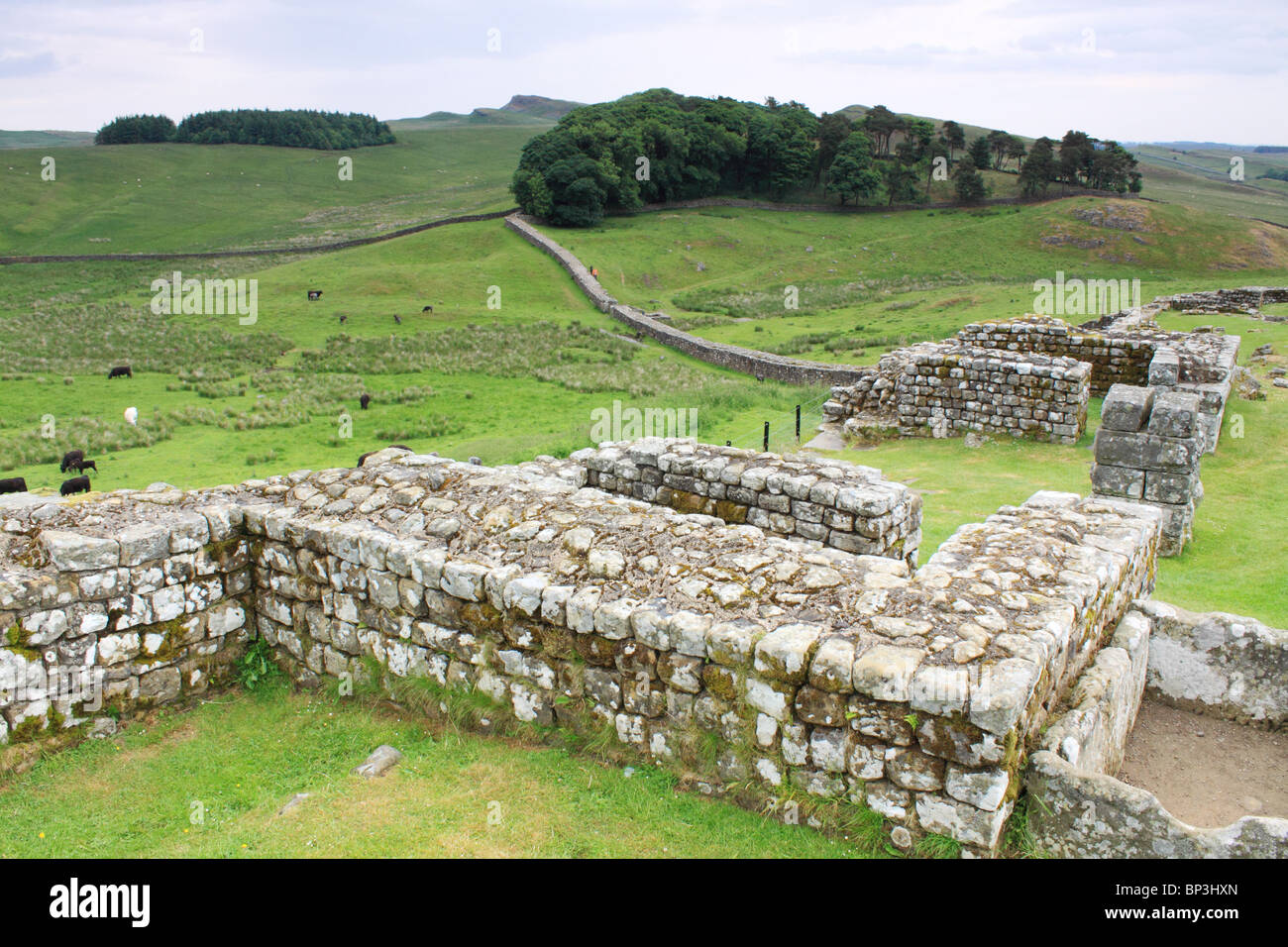 Housesteads Roman Fort and Hadrian's Wall, Northumberland, England ...