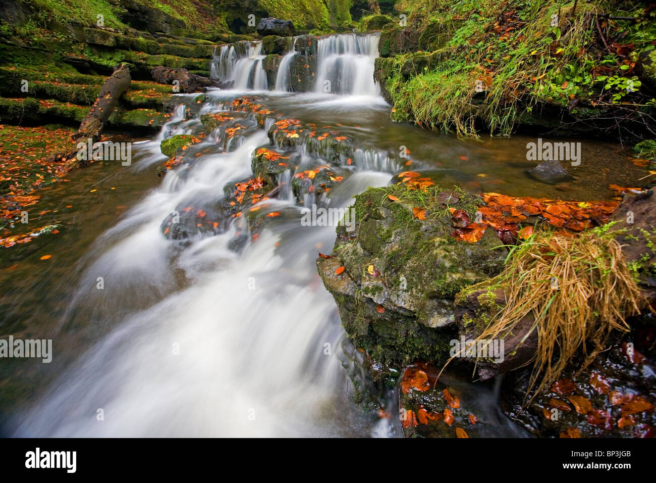 Small waterfalls falls or rapids at Scaleber Force Wood in Autumn, near ...