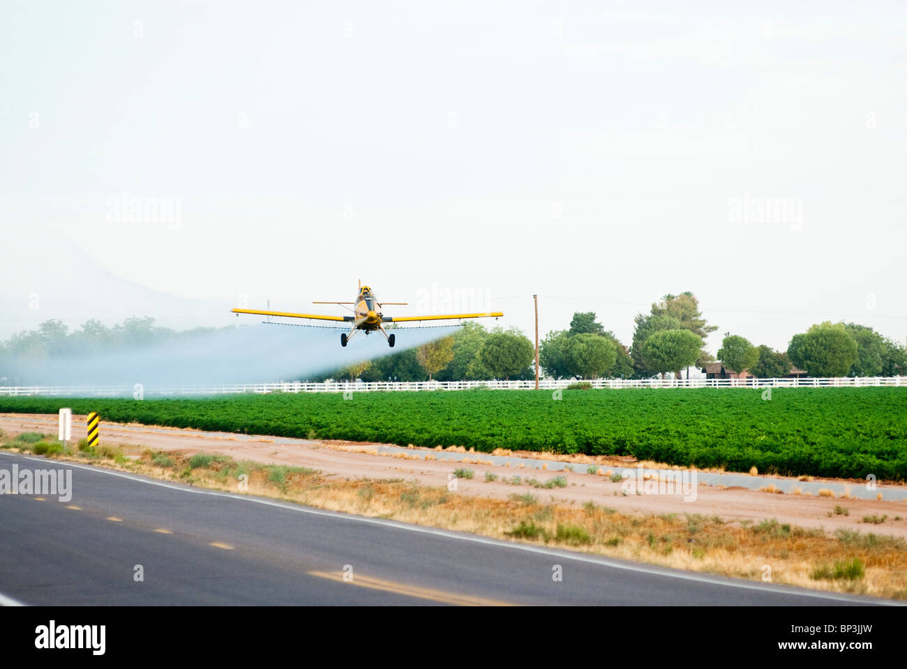 Pesticide cotton hi-res stock photography and images - Alamy