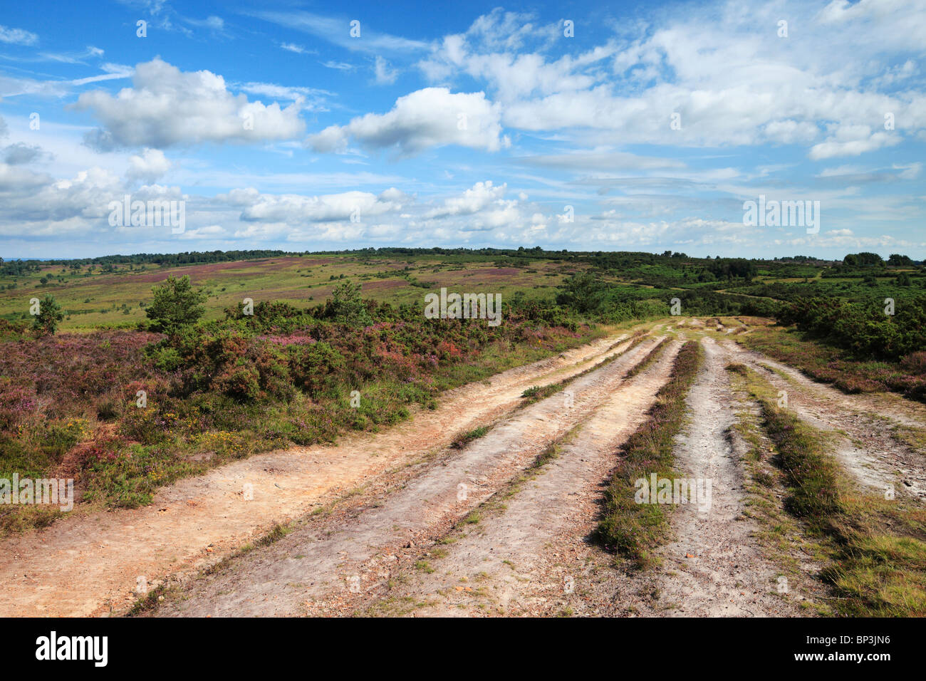 Ashdown forest hi-res stock photography and images - Alamy