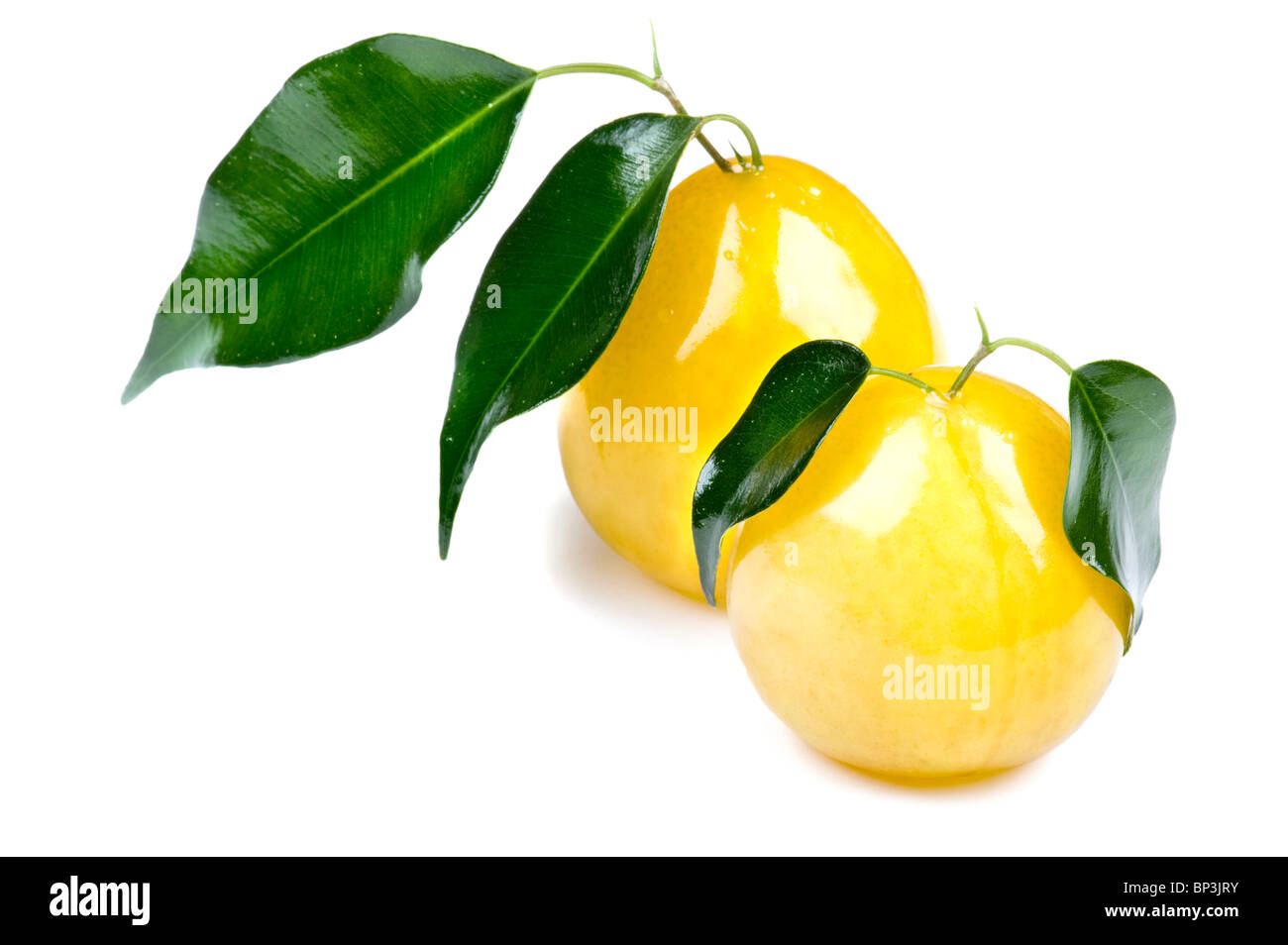 Close up yellow colorful Cut Out Stock Images & Pictures - Alamy